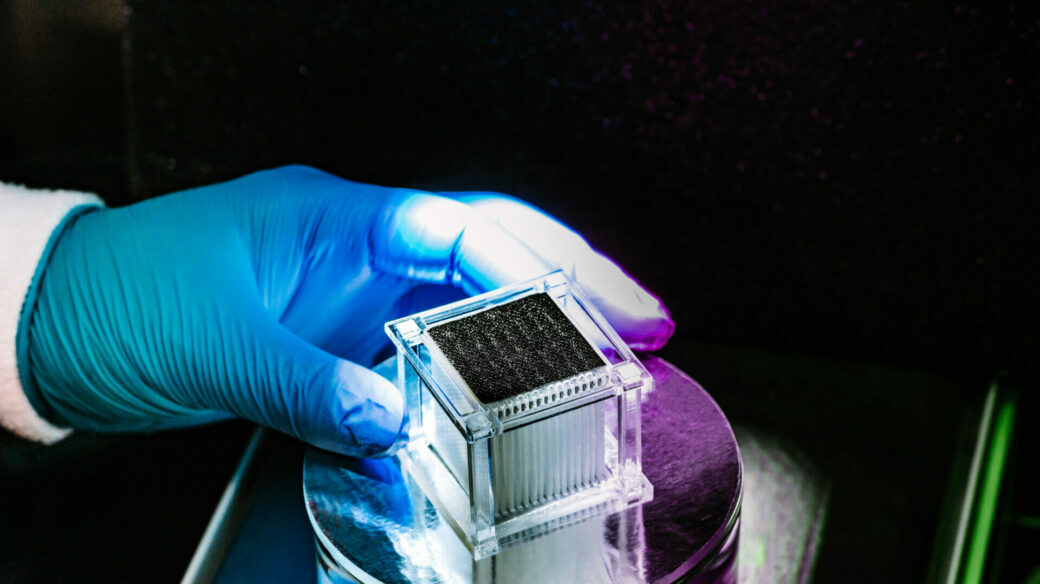 Elevated design keeps solar stills salt-free - KAUST Discovery