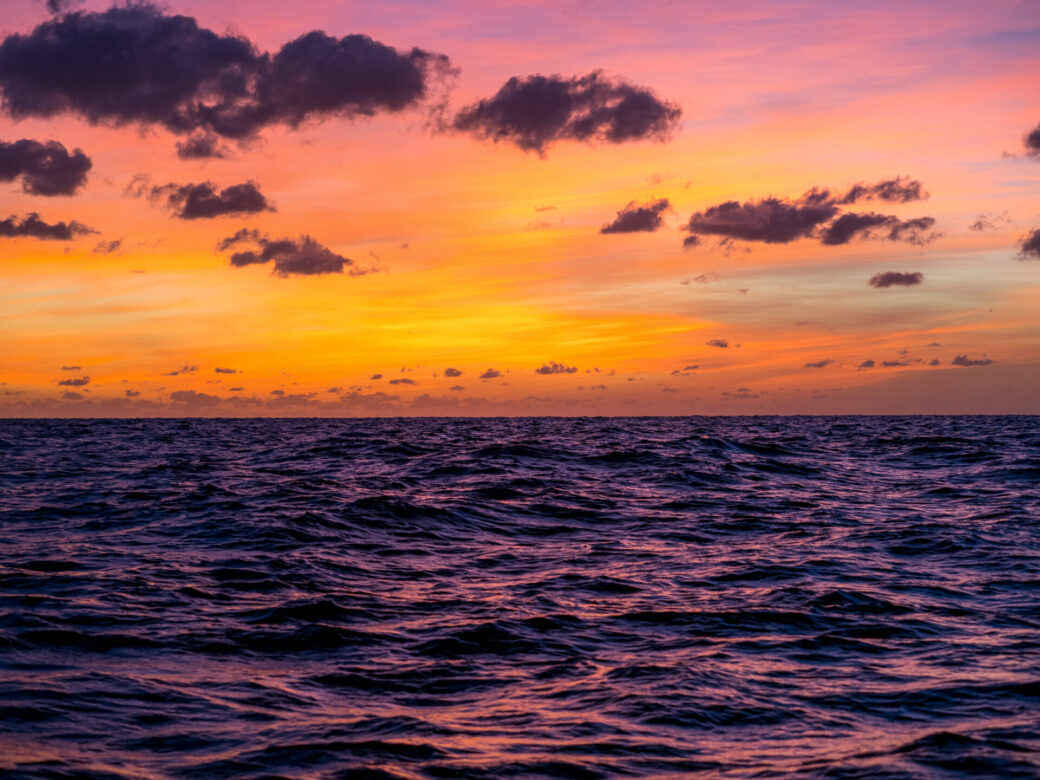 Applied Mathematics and Computational Sciences Archives - KAUST Discovery