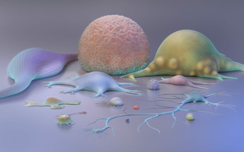 AI for cells helps illuminate their identity - KAUST Discovery