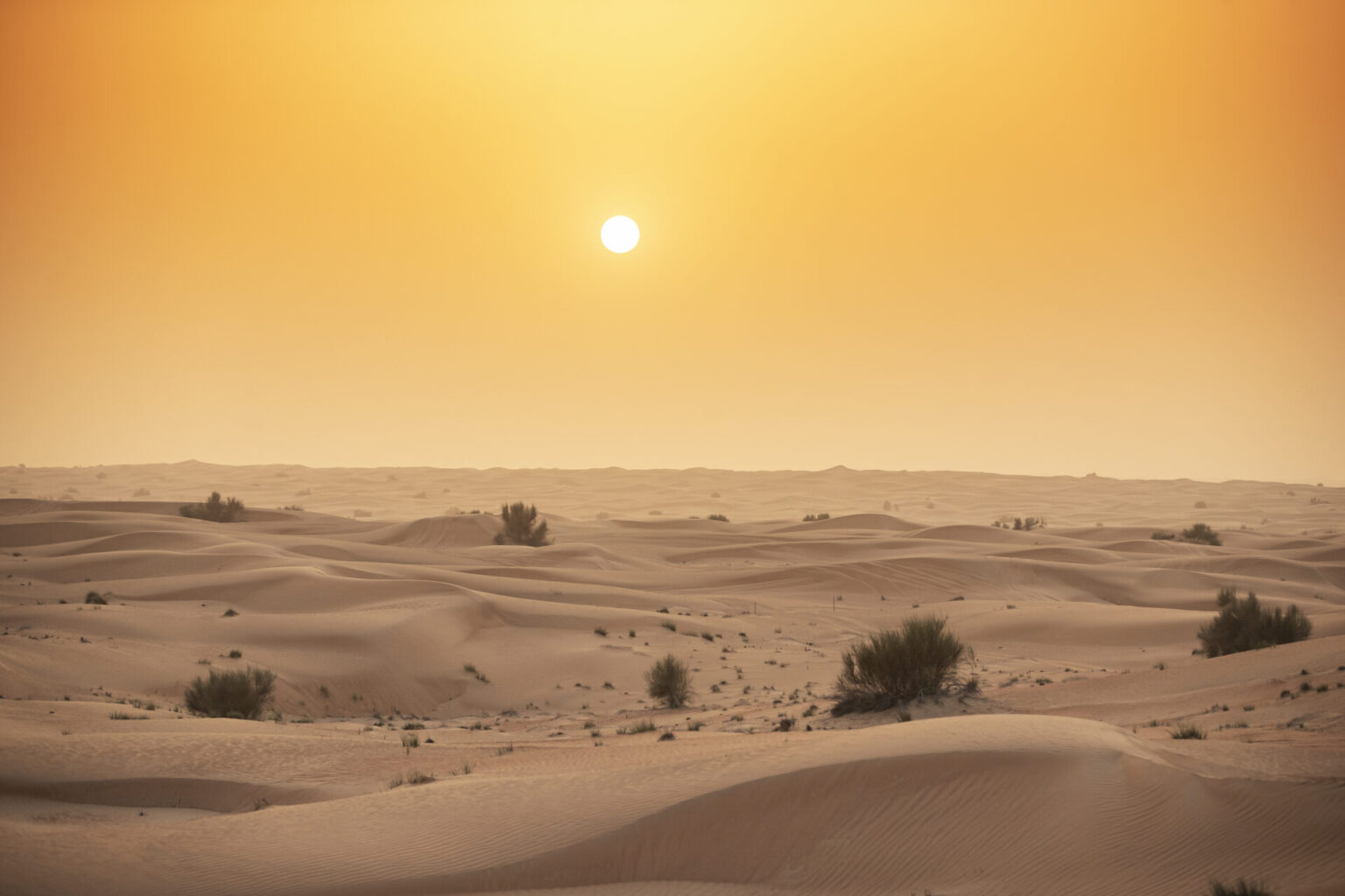 Feeling the heat across the Middle East - KAUST Discovery
