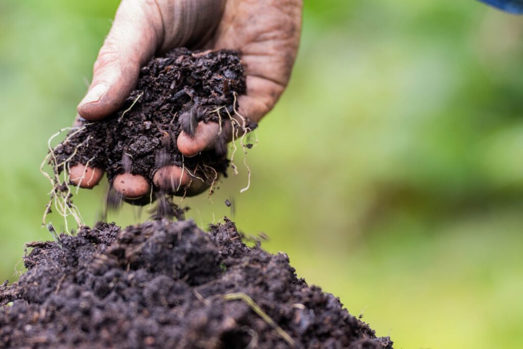 Soil biodiversity is an overlooked frontline of disease prevention ...